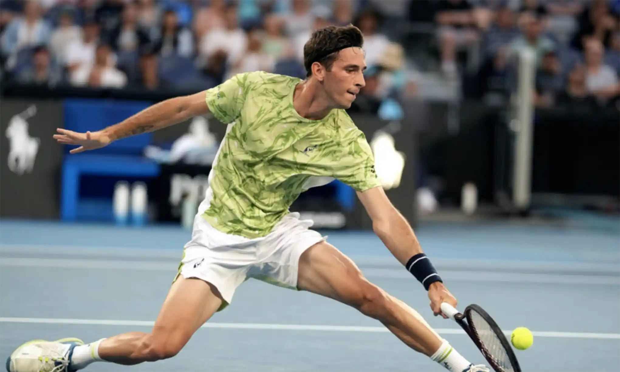 Matteo Gigante's Racquet - Player Profile - Tennisnerd.net