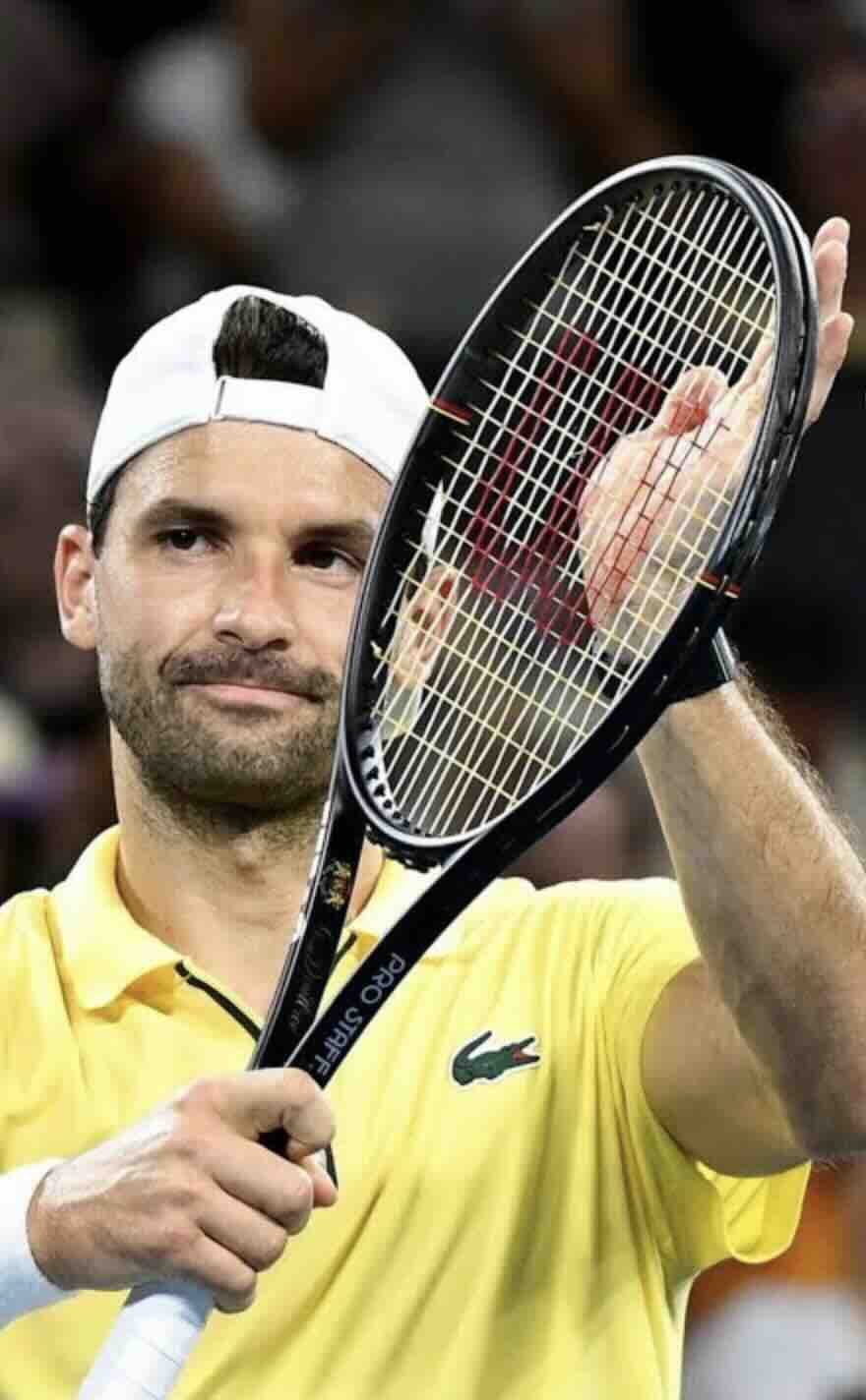 Wilson Pro Staff V15 - Tennisnerd.net